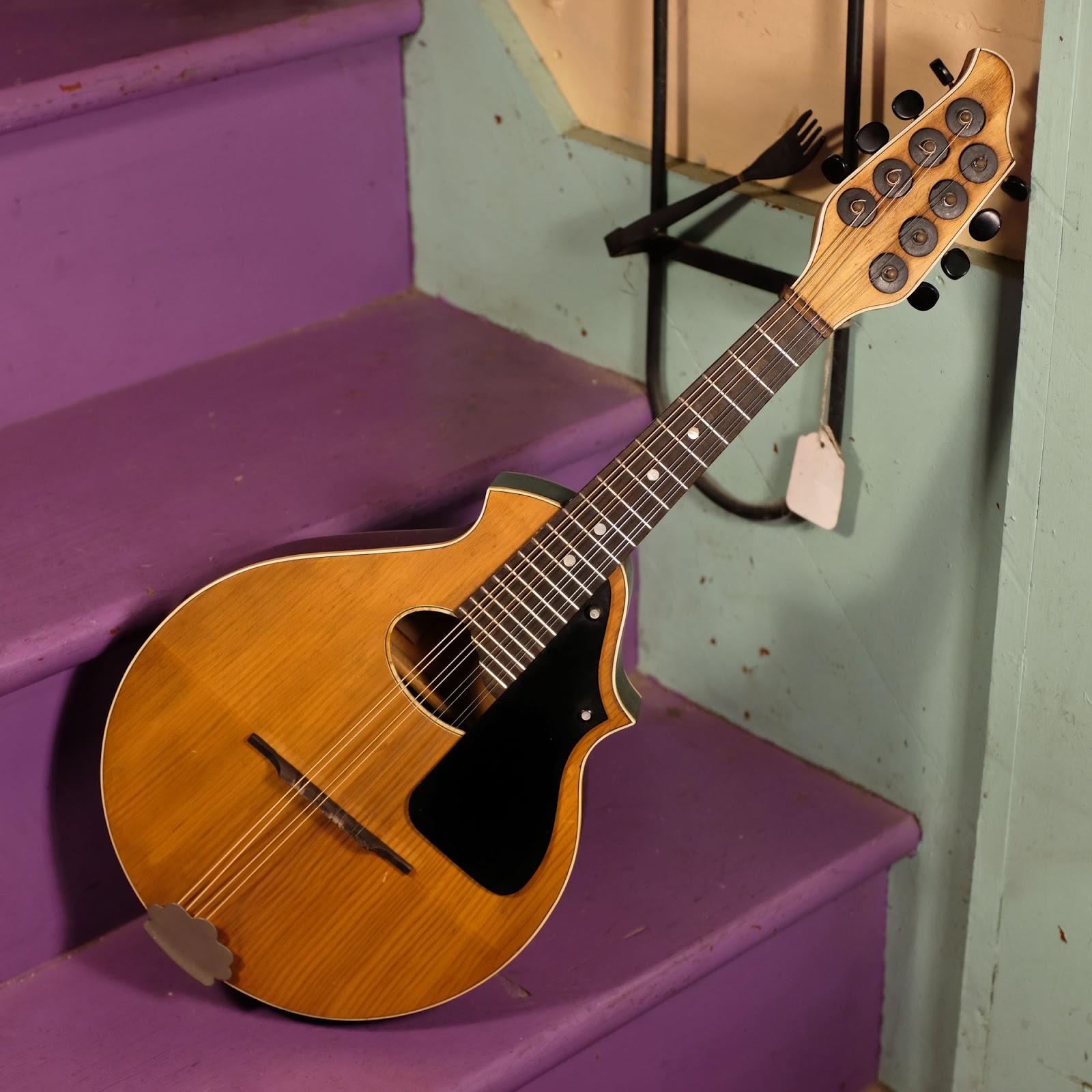 1920s Stromberg-Voisinet/Kay 2-Point Flatback Mandolin