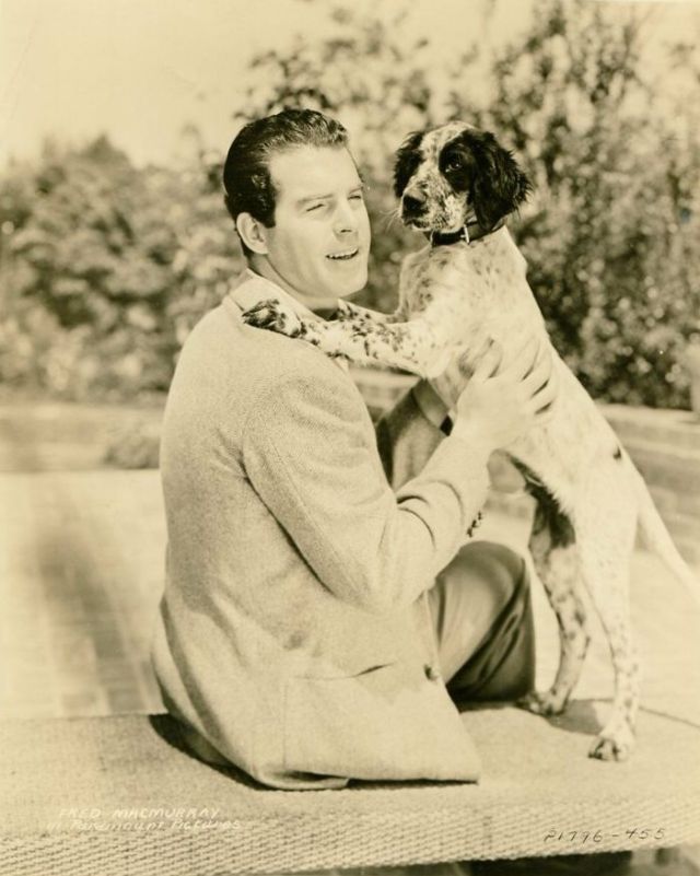 30 Fabulous Portrait Photos of Fred MacMurray in the 1930s and ’40s ...