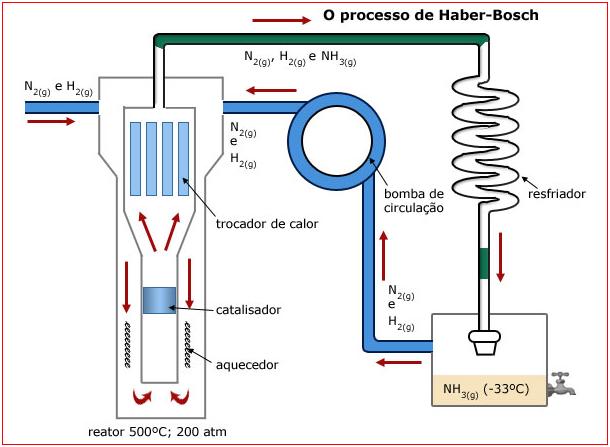 Ciclos Biogeoquímicos : - Coggle Diagram