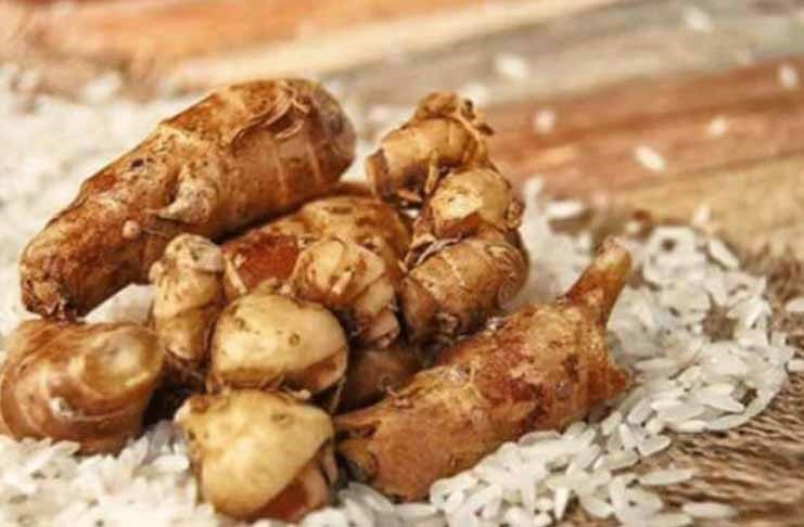 Herbadrink Beras Kencur Andalan Keluargaku - Kuliner Wisata