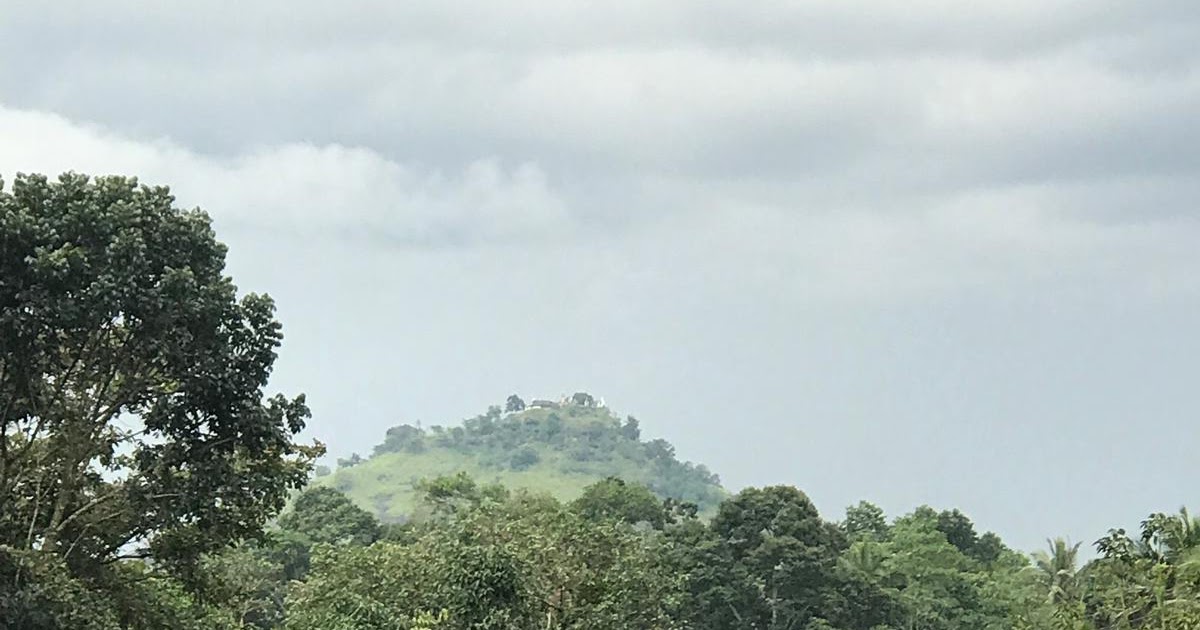 The Holiday and Travel Magazine: Geragama Tea Factory - a Wonderful ...