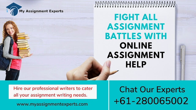 How top experts can help you write better assignments?