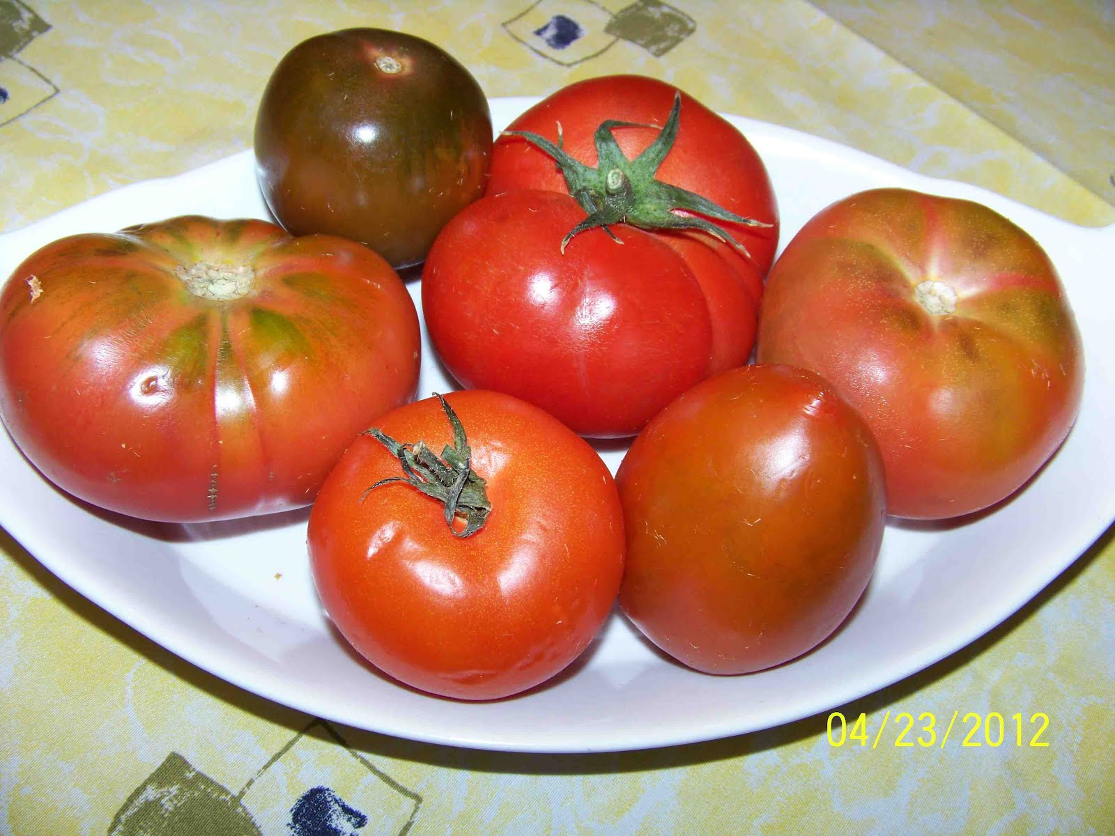 Culinaria y otras cosas: Ensalada de tomates