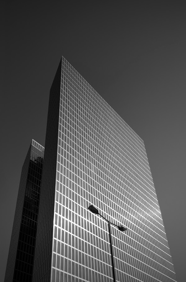 Nick Frank - Mono Madness | Doctor Ojiplático