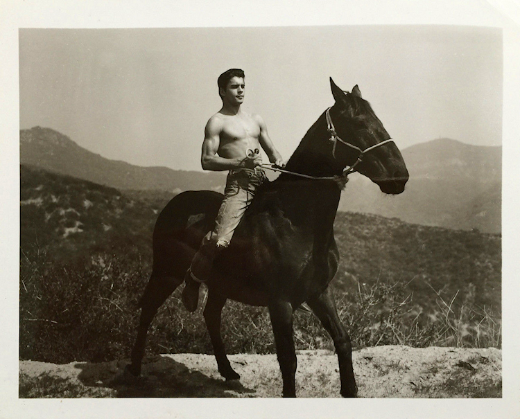 Gods and Foolish Grandeur: A photographic male miscellany