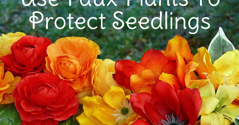 Texifornia: Garden Tip: Use Faux Plants to Protect Real Ones