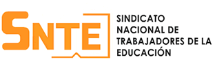 SECTOR 07 ESTATAL: FORMATOS DEL SNTE