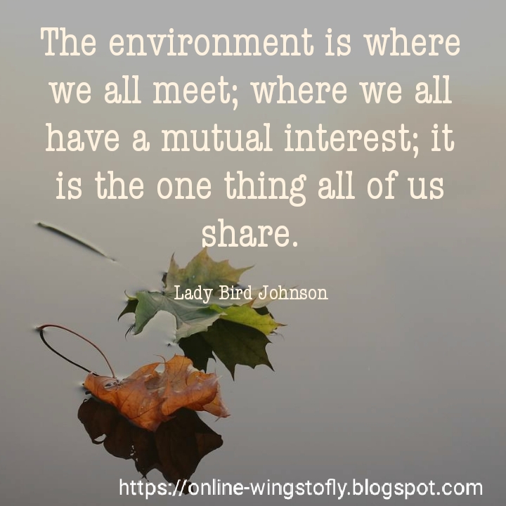 Happy Environment Day - slogans, quotes