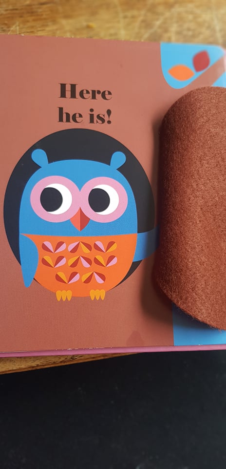 Getting in a flap about lift-the-flap books