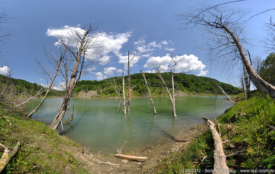 Sorin Petculescu - Blog de Fotografie - www.sorinpetculescu.ro: Maneciu ...