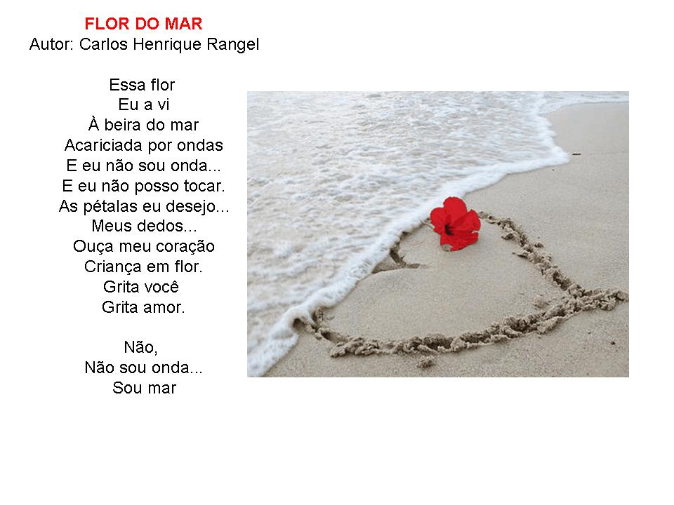 FLOR DO MAR - Poemas | Luso-Poemas