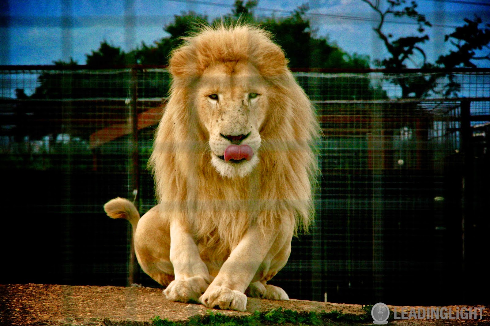 Your Virtual Store - Blog