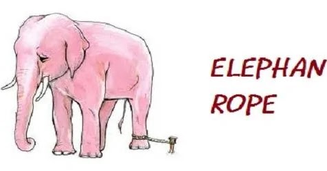 The Elephant Rope (Belief)