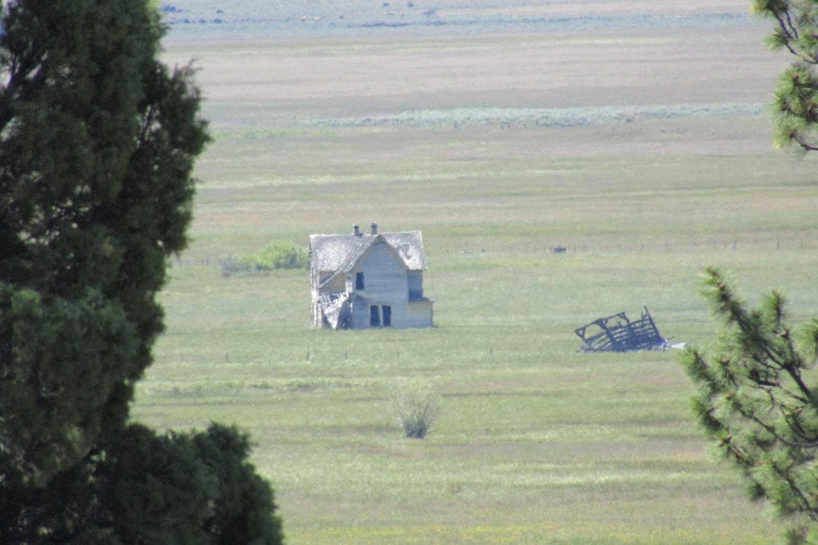 Holly's Horse Tales and Trails: Indian Prairie and Allen Creek Horse ...
