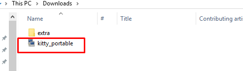 Kitty Transparency Feature