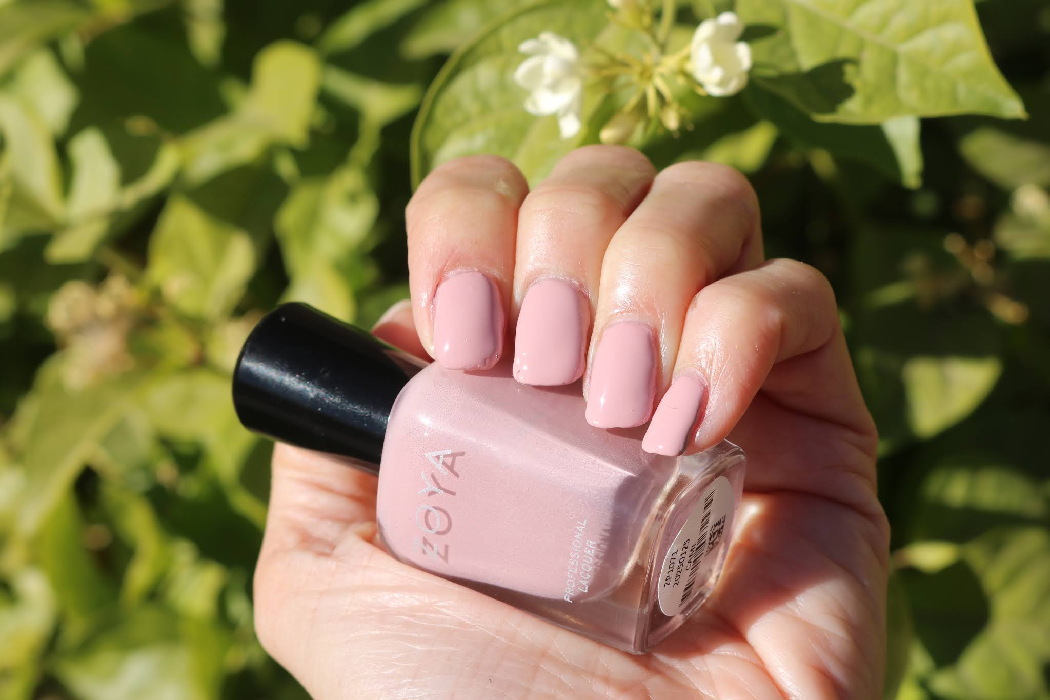 Zoya Naturel 4: Transitional 2020 Collection Swatches and Review - The Shades Of U