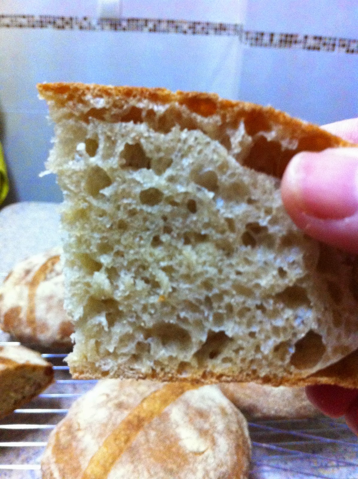 COCINAR PARA LOS MIOS: PAN RÚSTICO CON MASA FERMENTADA
