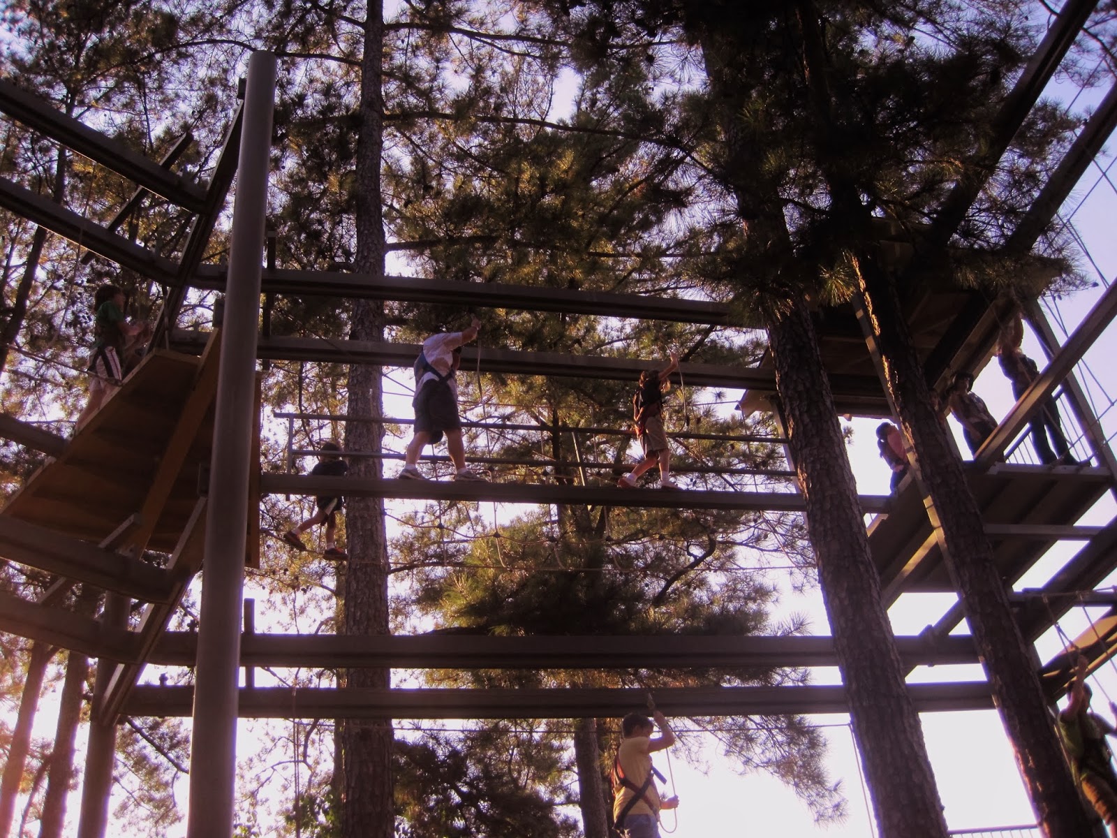 2013 Goals Update for October - Girls To Grow