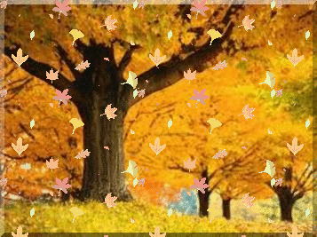 DIN INIMĂ PENTRU TOŢI...♥: TOAMNA PEISAJE