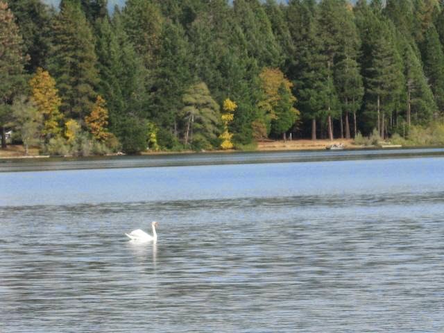 Hiking Sasquatch Country: Lake Selmac