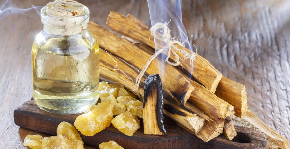 Hamsah Centro Holístico: PALO SANTO: ¿QUÉ ES Y PARA QUÉ SIRVE?