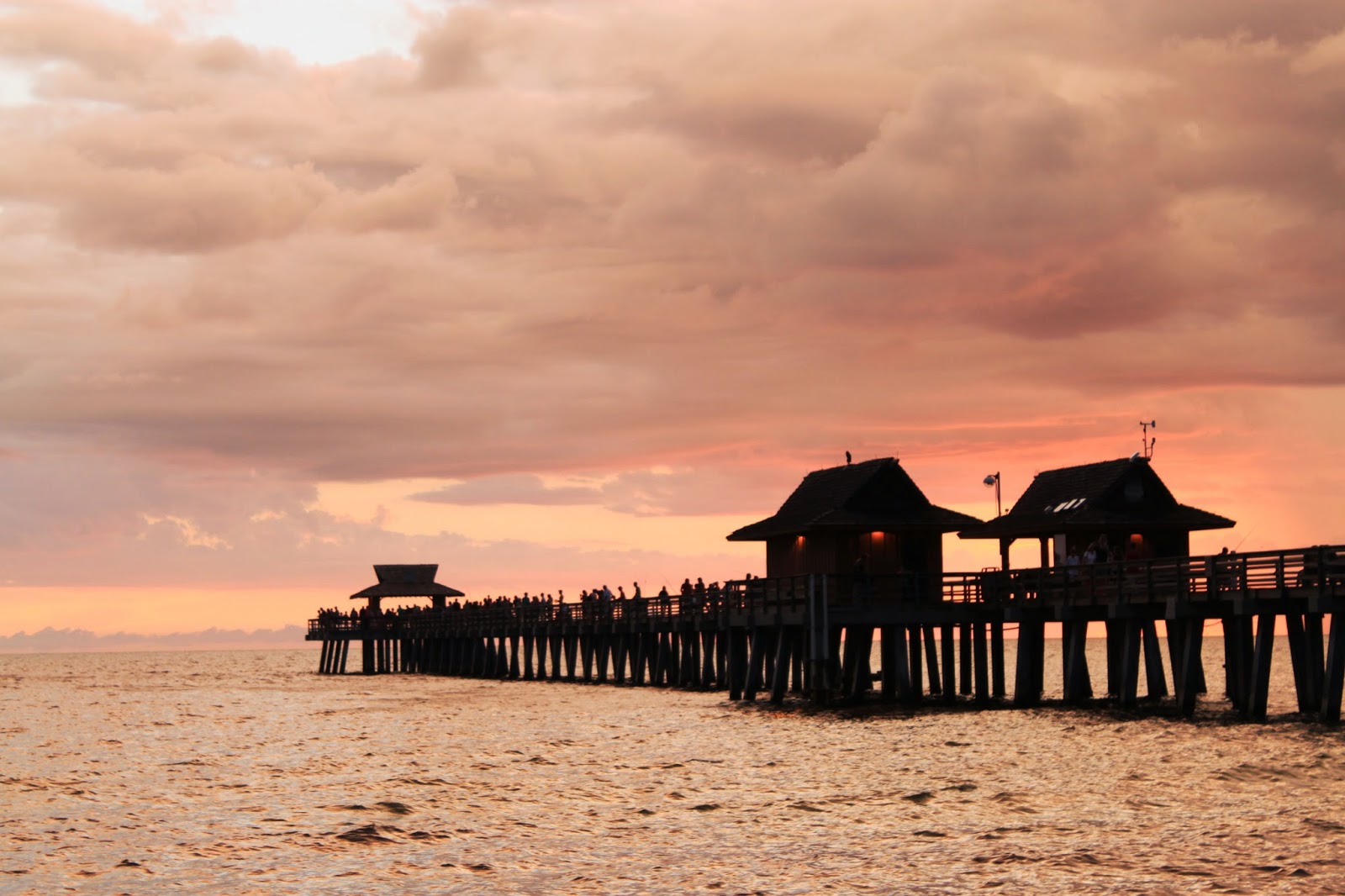 aladecouverteduglobe: SANIBEL - MARCO ISLAND - NAPLES