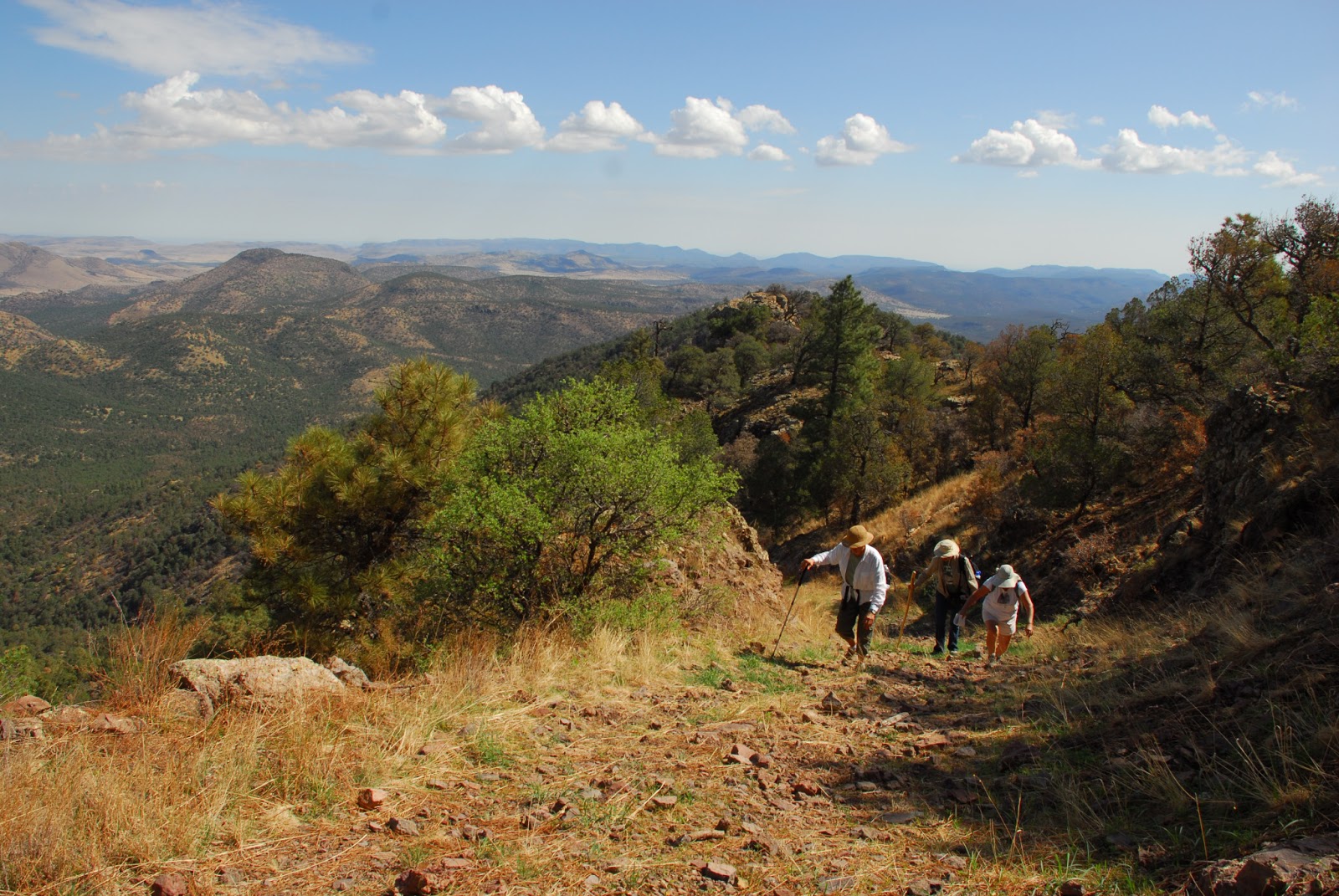 Texas Mountain Trail Daily Photo: Davis Mountains Preserve Open Weekend ...