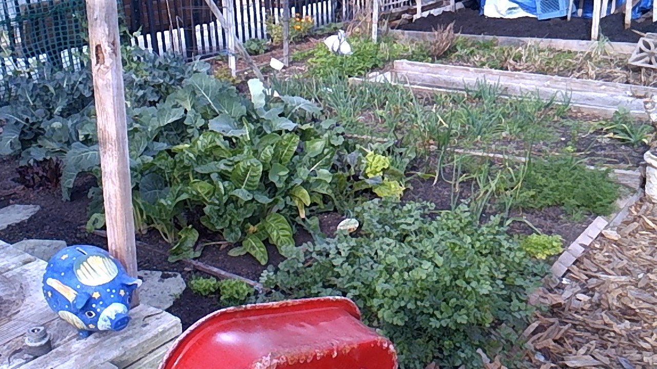 Discovering new ideas in USA Innovation - LGMA Exchange : Community ...