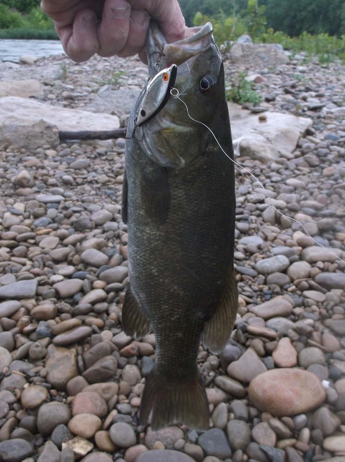 Steven outside: Like a drowned rat (river rat that is)