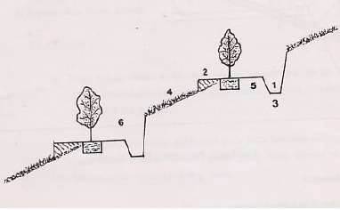 8 Jenis Terasering Berdasarkan Bentuk Dasarnya - Arsitur Studio