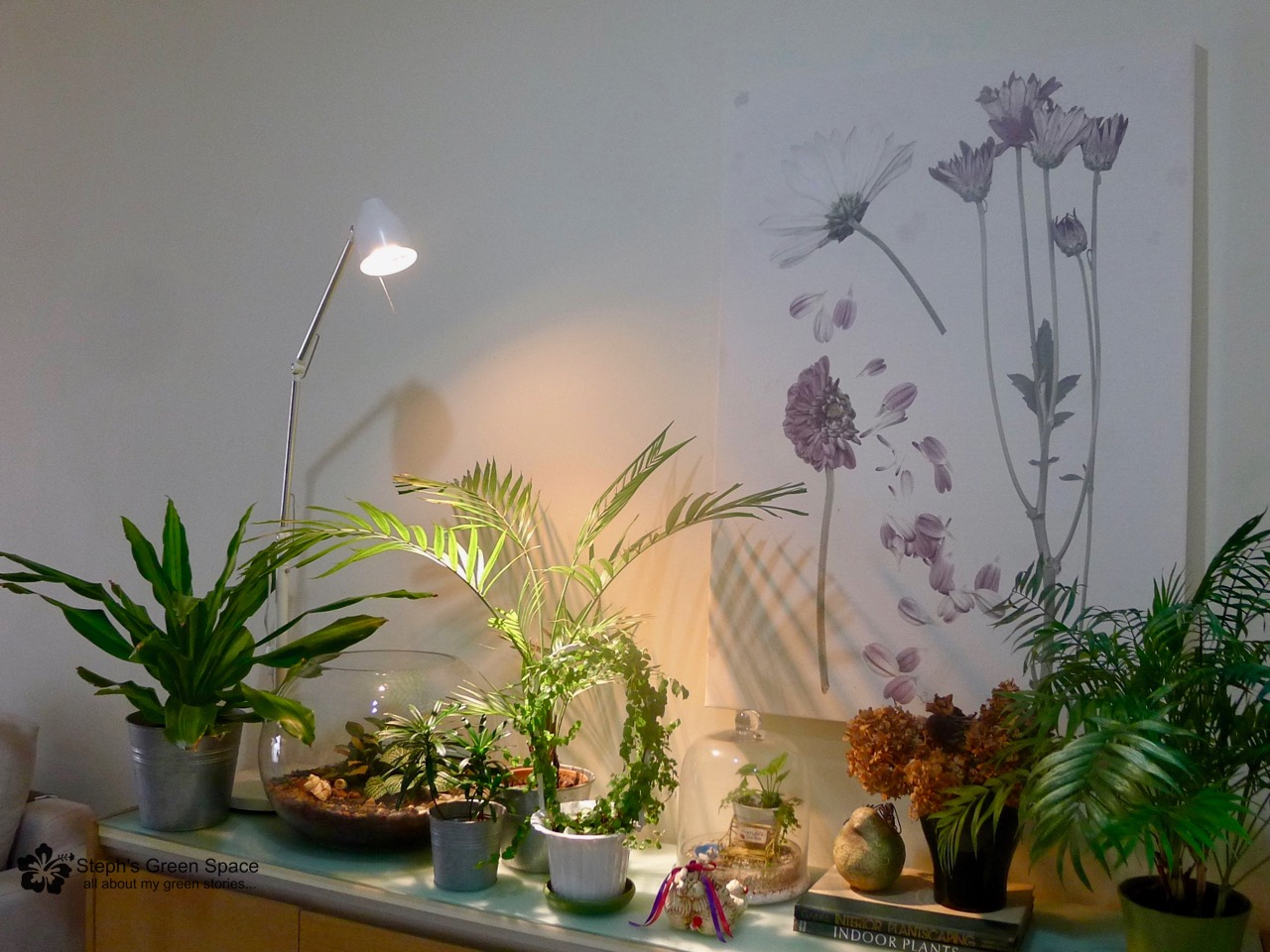 The process made me realised that bringing live plants inside is one ...