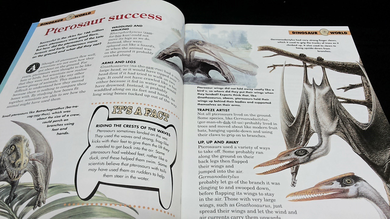 Kid Books Blog: 66.ชุด Dinosaurs Discover the Giants of the Prehistoric ...