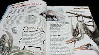 Kid Books Blog: 66.ชุด Dinosaurs Discover the Giants of the Prehistoric ...