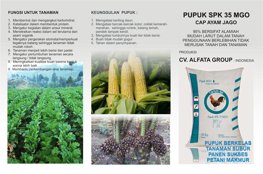 Pupuk SPK 35 MGO Yang Diproduksi di Indrapuri ~ acehpupuk