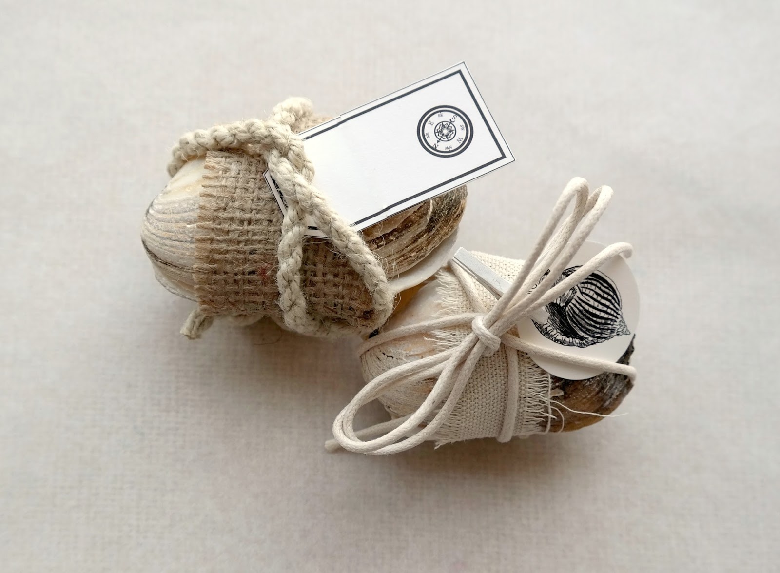 Sea Shell Gift Cases - Canvas Corp