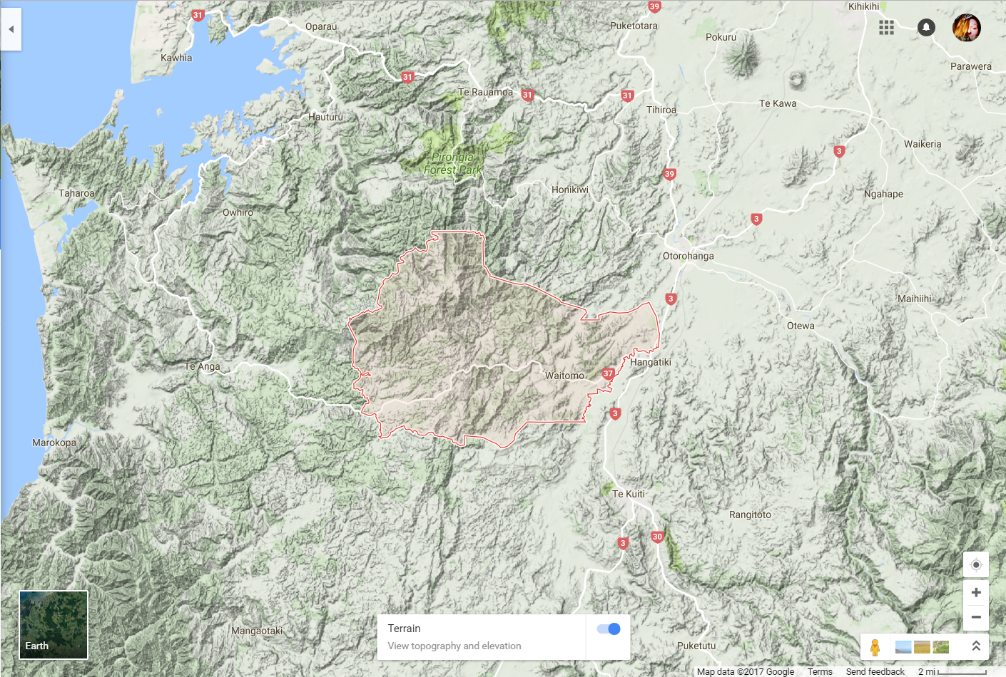 Waitomo Glowworm Caves: Location and Formation