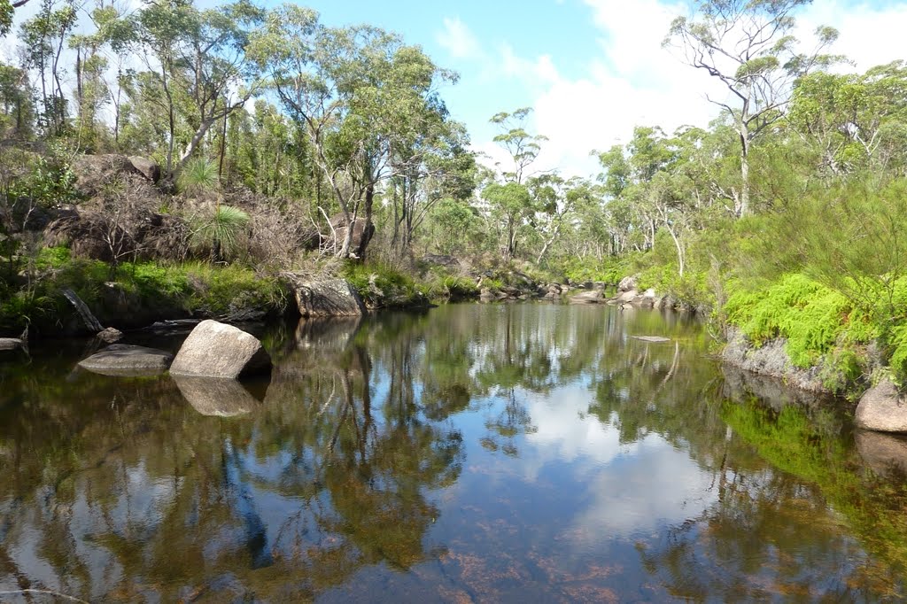National Park Odyssey: Fern Tree Forest Walk, Mulligans Campground ...