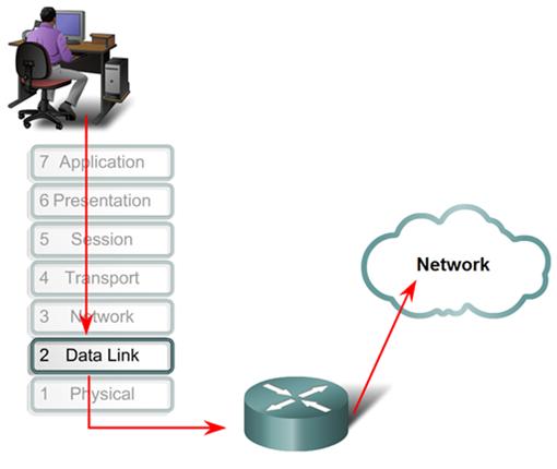 macan guling: Cisco Fundamental : Data Link Layer