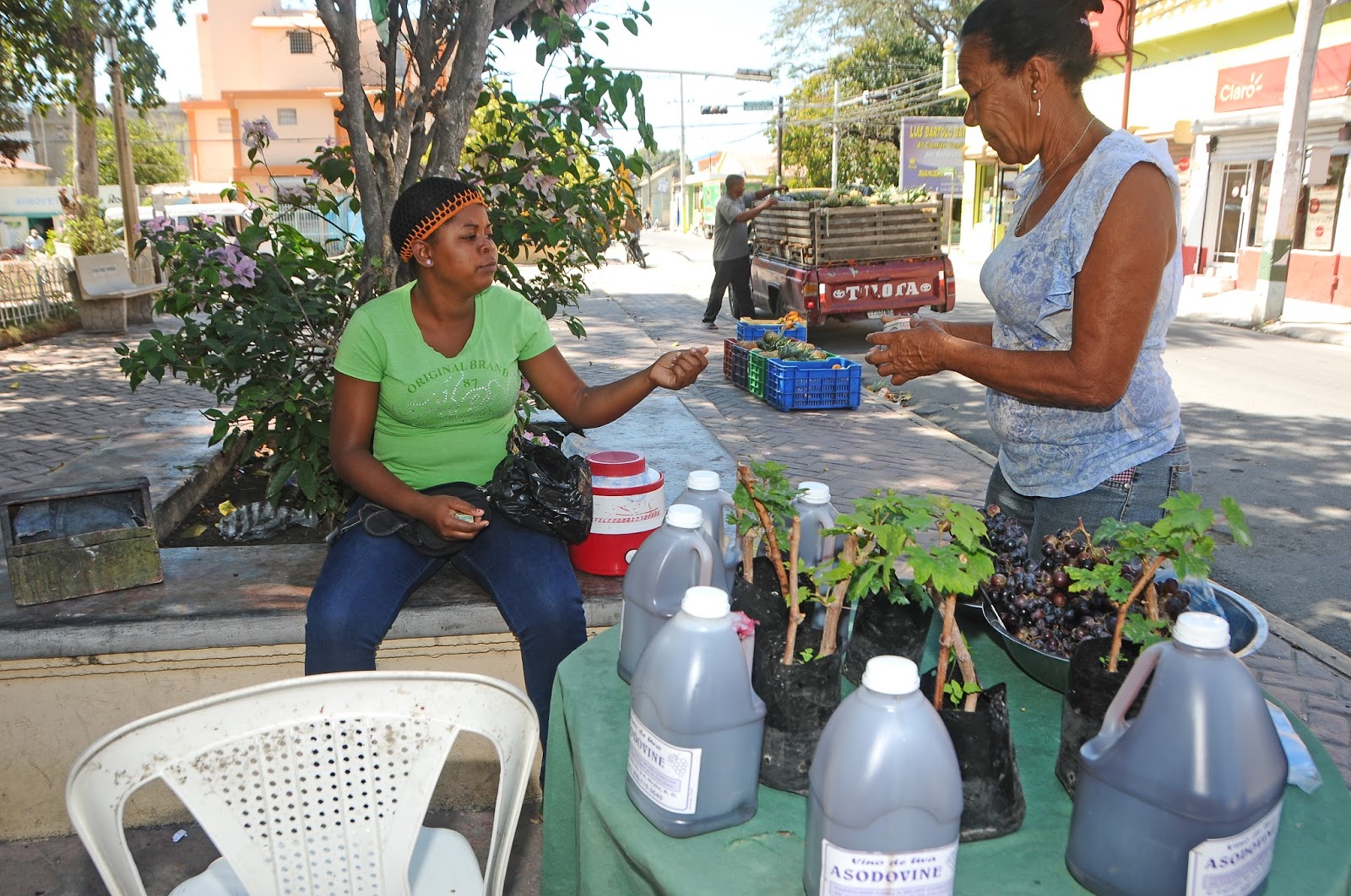 Destino designado : Las uvas de Neiba, ideales para hacer varios productos