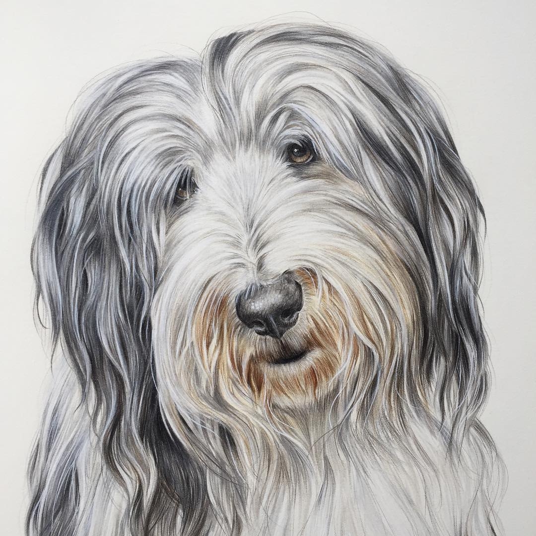 Design Stack: A Blog about Art, Design and Architecture: Pet Portraits ...