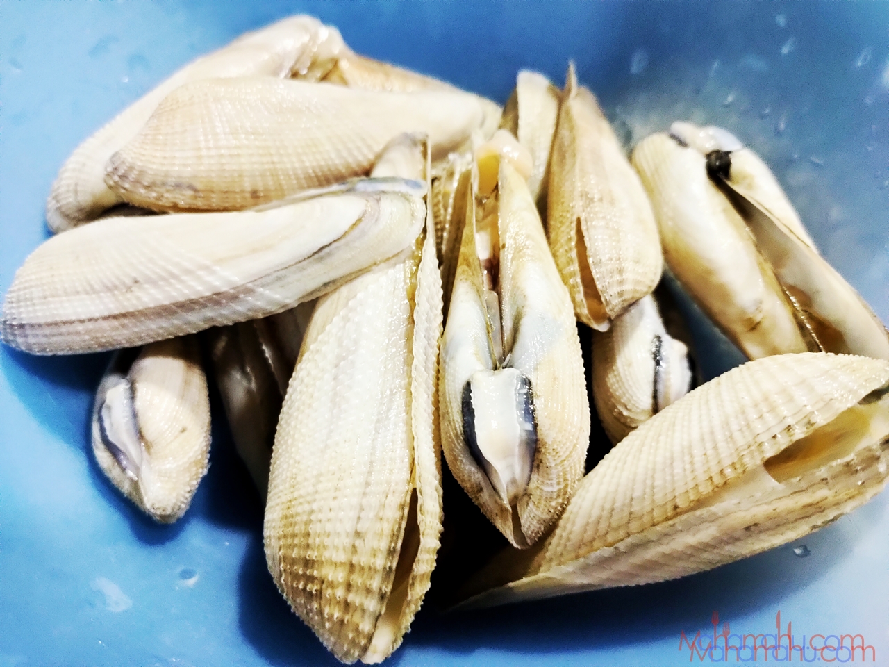 Makanan Eksotik Mentarang Sedap Dimasak Sambal | Blog Makan Mahamahu