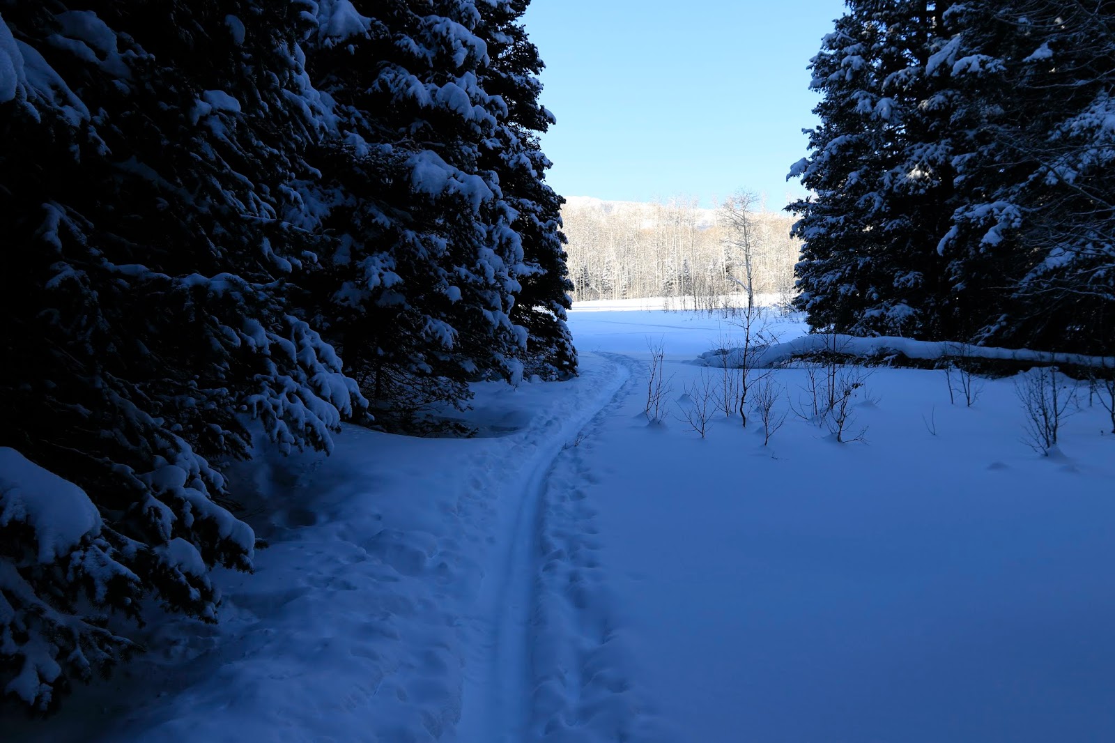 gjhikes.com: Upper Meadow Loop