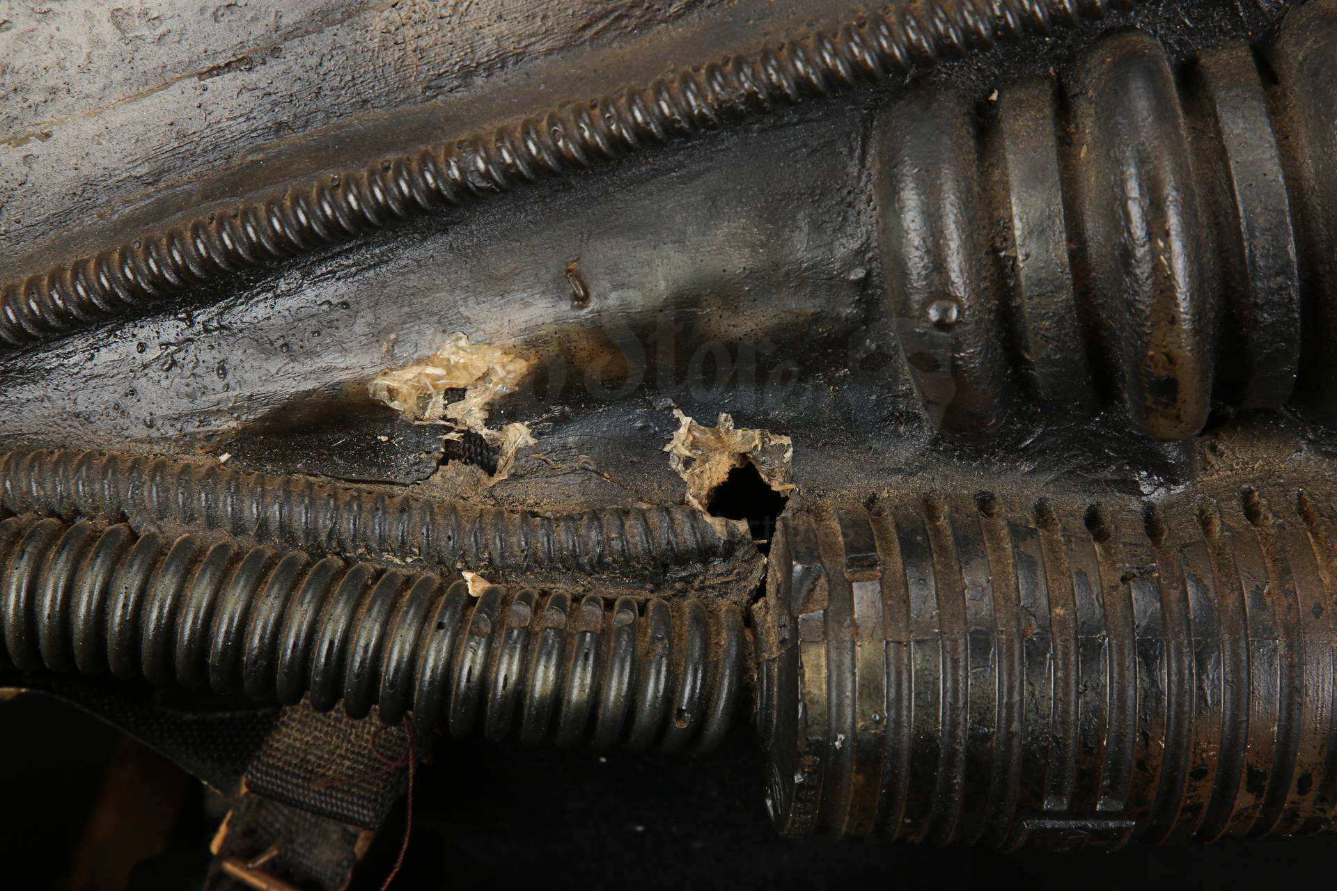 Alien Explorations: Alien: David Watling's Alien Head