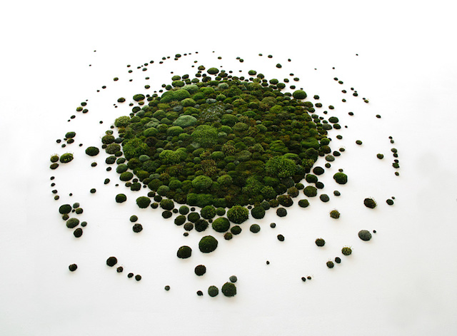 El versátil trabajo de Anna Garforth