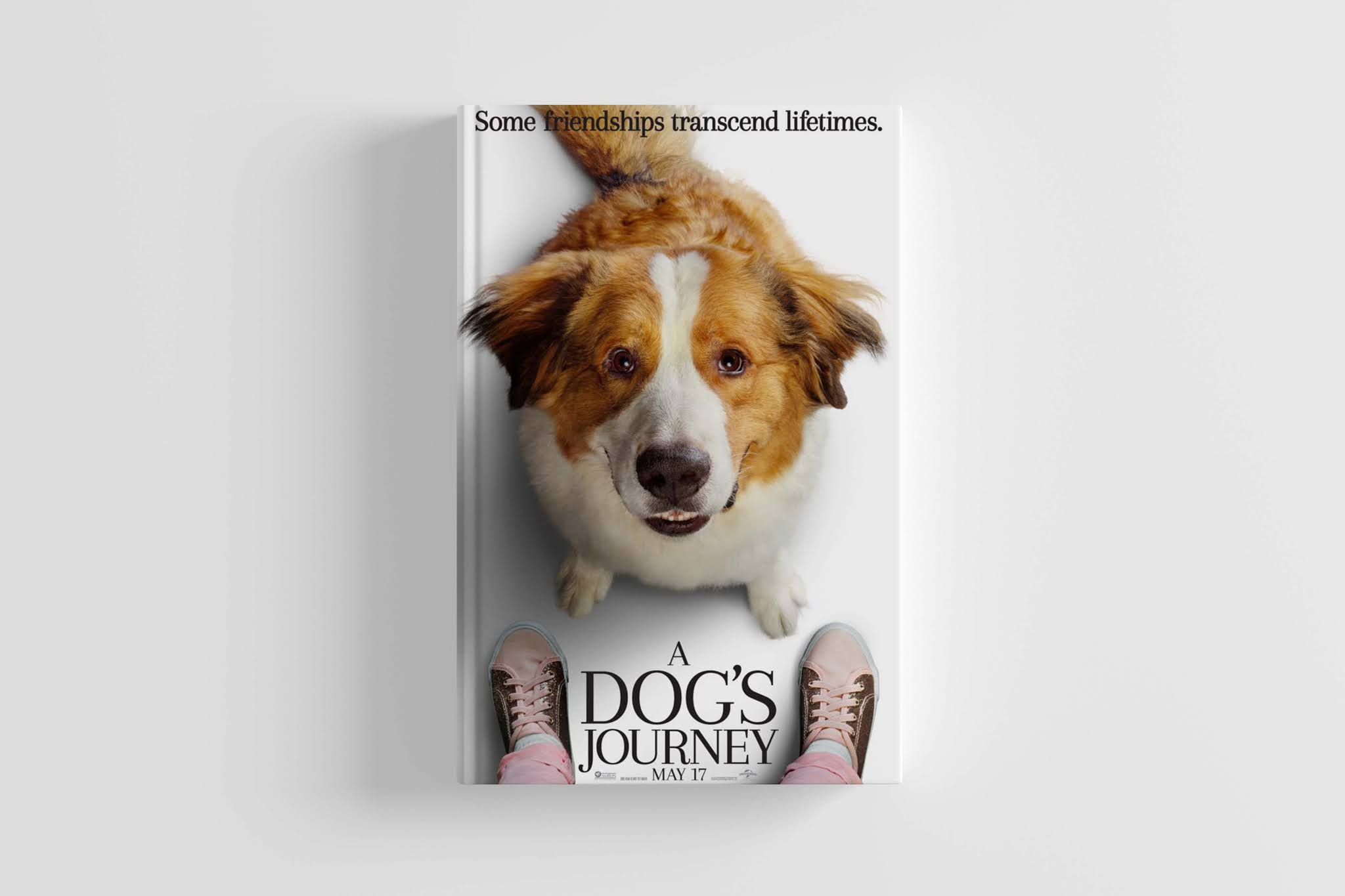 Dog Related Book Cover Design | All New Job Circular and Educational News