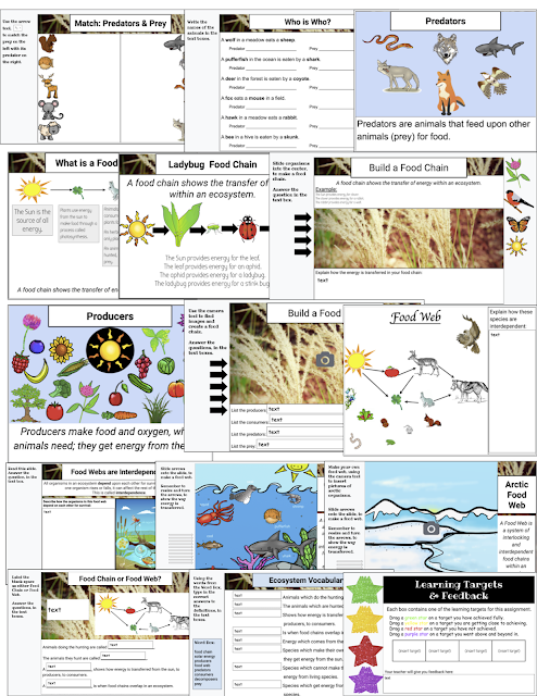 Ecosystem BUNDLE for Distance Learning: Google Classroom and Printable ...
