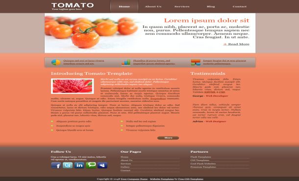 Free Cooking Tomato Red CSS Website Template