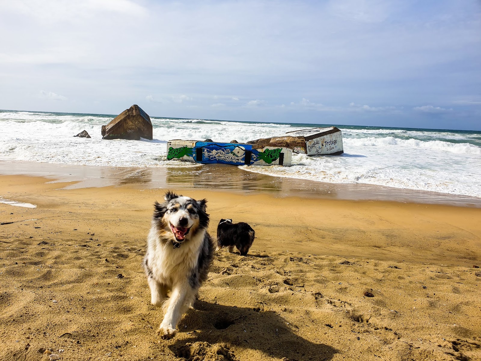 Beth Haslam - Author of the Fat Dogs and French Estates series: 2019