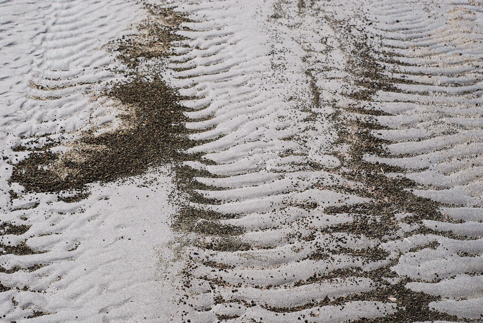 Geology Weekly: Modern Sedimentary Structures (Great Salt Lake)