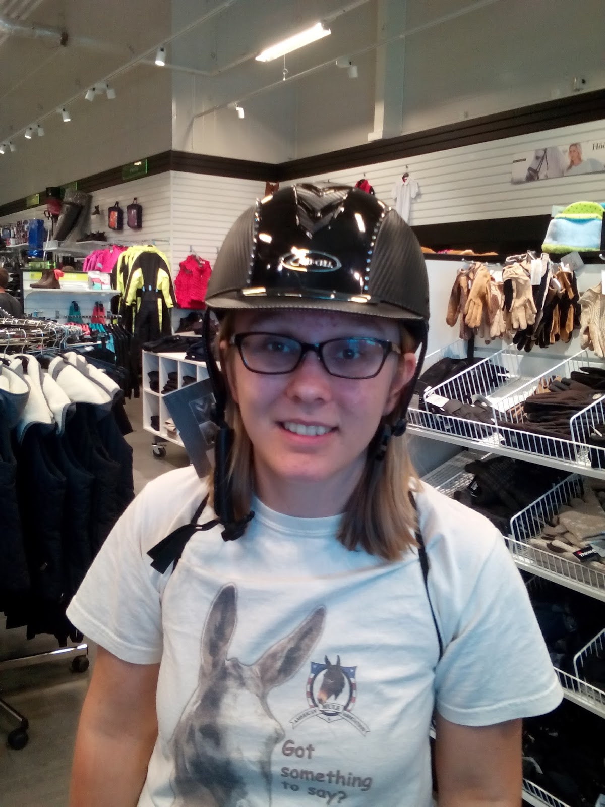 The Aspiring Equestrian: Swedish Tack Store!